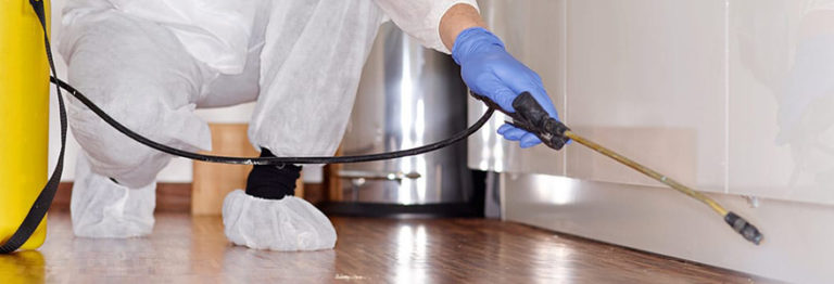 Les précautions à prendre pour éviter les nuisibles