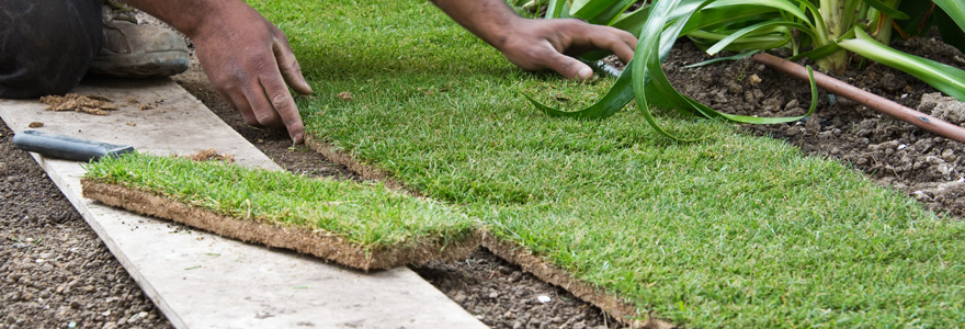 Tout savoir sur le gazon en plaque : définition et avantages